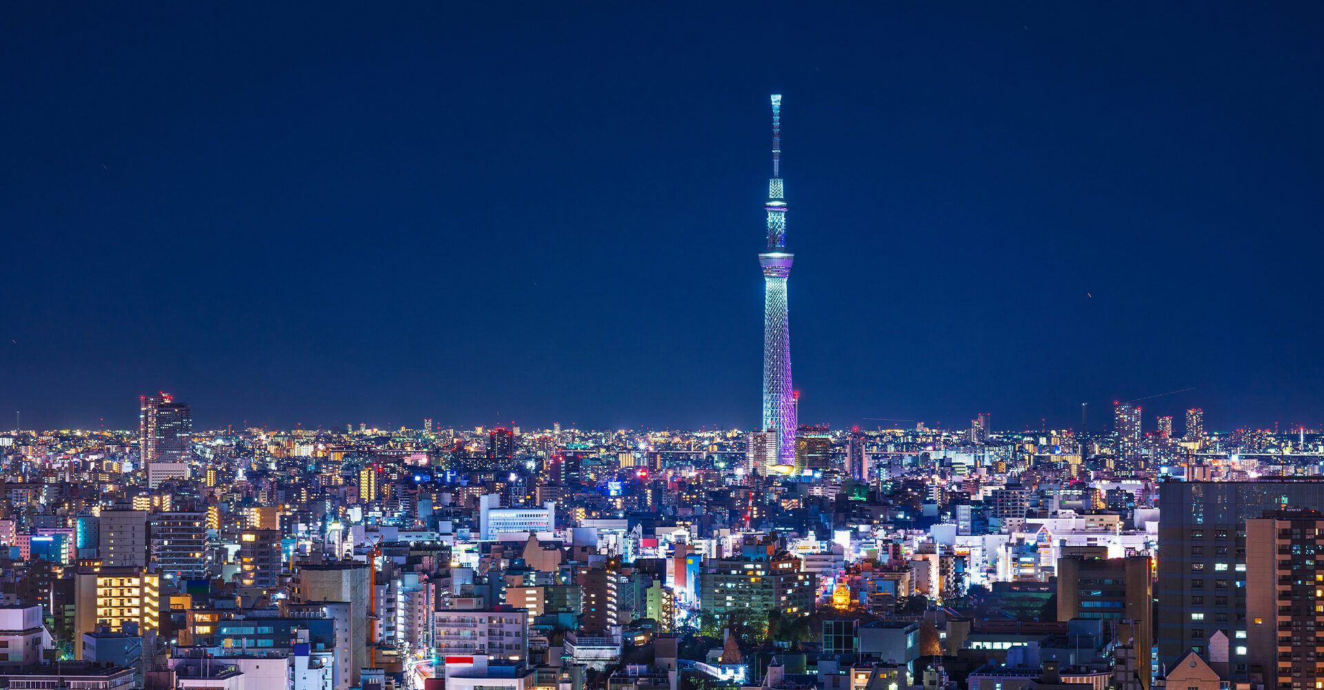 Curtin in Japan | Engage