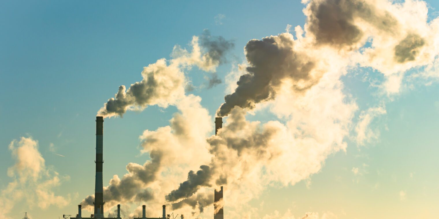 Climate change & conservation | Curtin University
