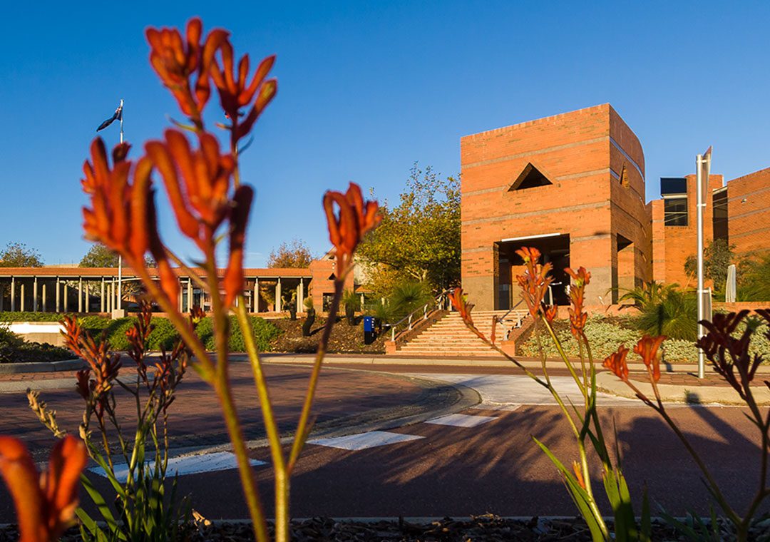 Media releases | Curtin University, Perth, Australia