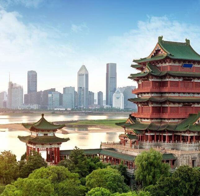 Internships and practicums | Current Students