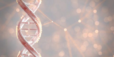 Study medicine and health sciences | Curtin University